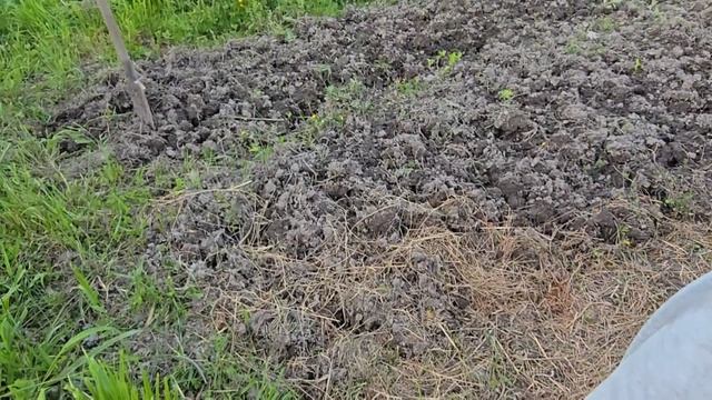 02-06-2025 Дачные дела / Муж помогает чем может )