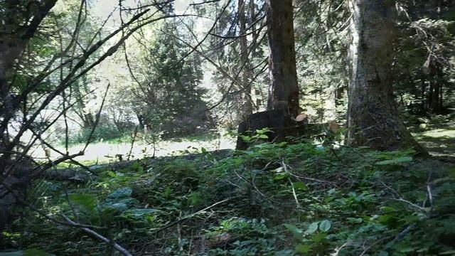 ДОМБАЙ полная информация о курорте