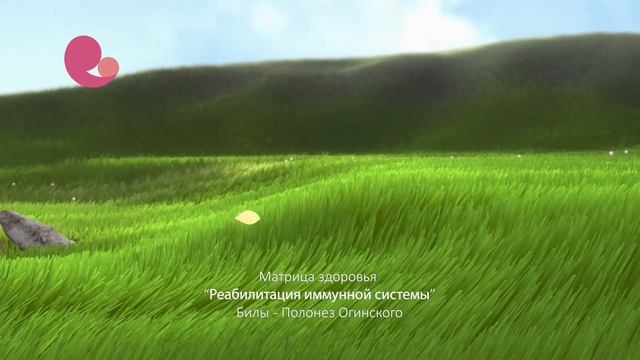 Матрица здоровья ─ «Реабилитация иммунной системы»