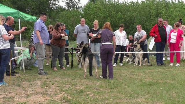 МВ Манхэттен