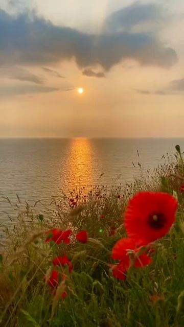 Закат в Крыму 🌅