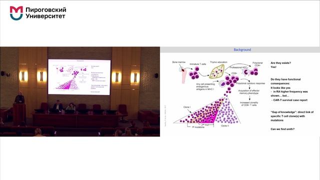 Соматические мутации и клональность T-лимфоцитов К постановке проблемы. Звягин Иван