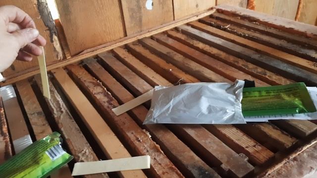 Ловушка для пчёл