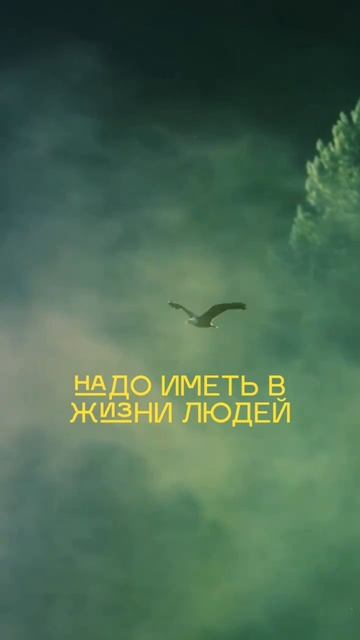 scene_output.mp4