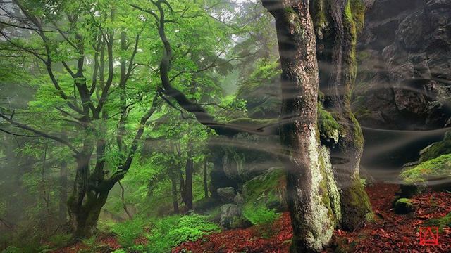 Прп. Нил Синайский ПРЕБЫВАЮЩИЕ НА БЕЗМОЛВИИ В ПУСТЫНЯХ ч8