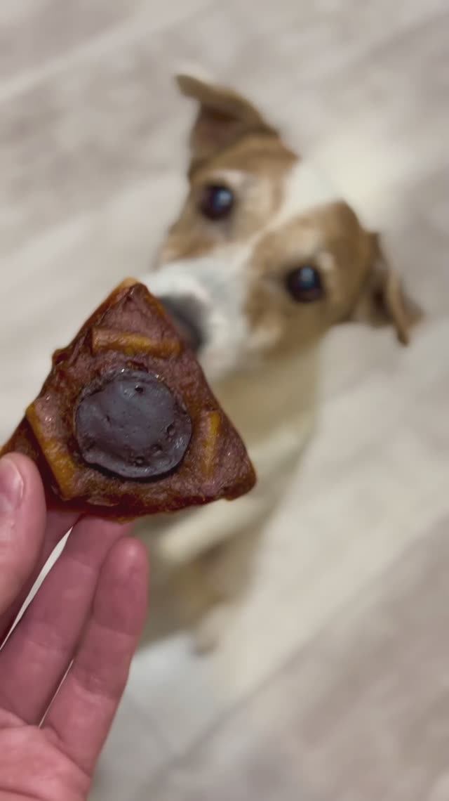 Кто сказал, что собакам нельзя пиццу? Вы просто не умеете её готовить 🤘🍕🐶😊