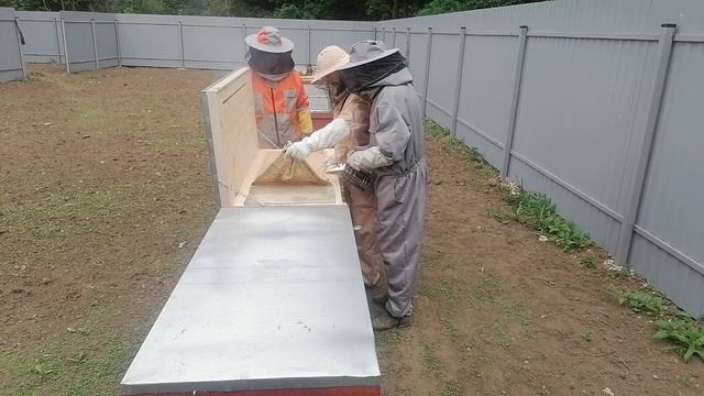 Выполняем работу на пасеке клиента. Деление на пол-лёта в улья лежаках Владимирский ЭКО