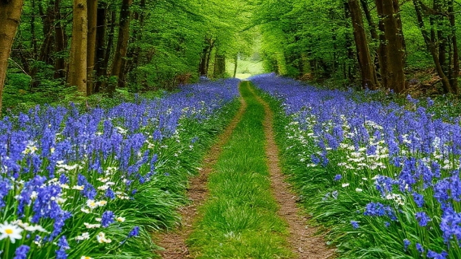 Дороги разошлись / поет Федосья Евстегнеевнна 84 года.