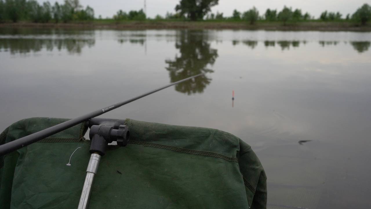 Закормил место и пошла жара . Рыбалка
