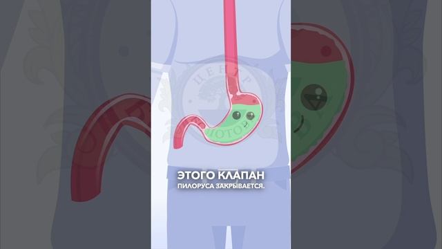 95% людей даже не знают, что у них гипертония из-за неправильной работы 
этого!