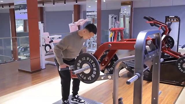 Становая тяга шраги Gymmaster MP-8140