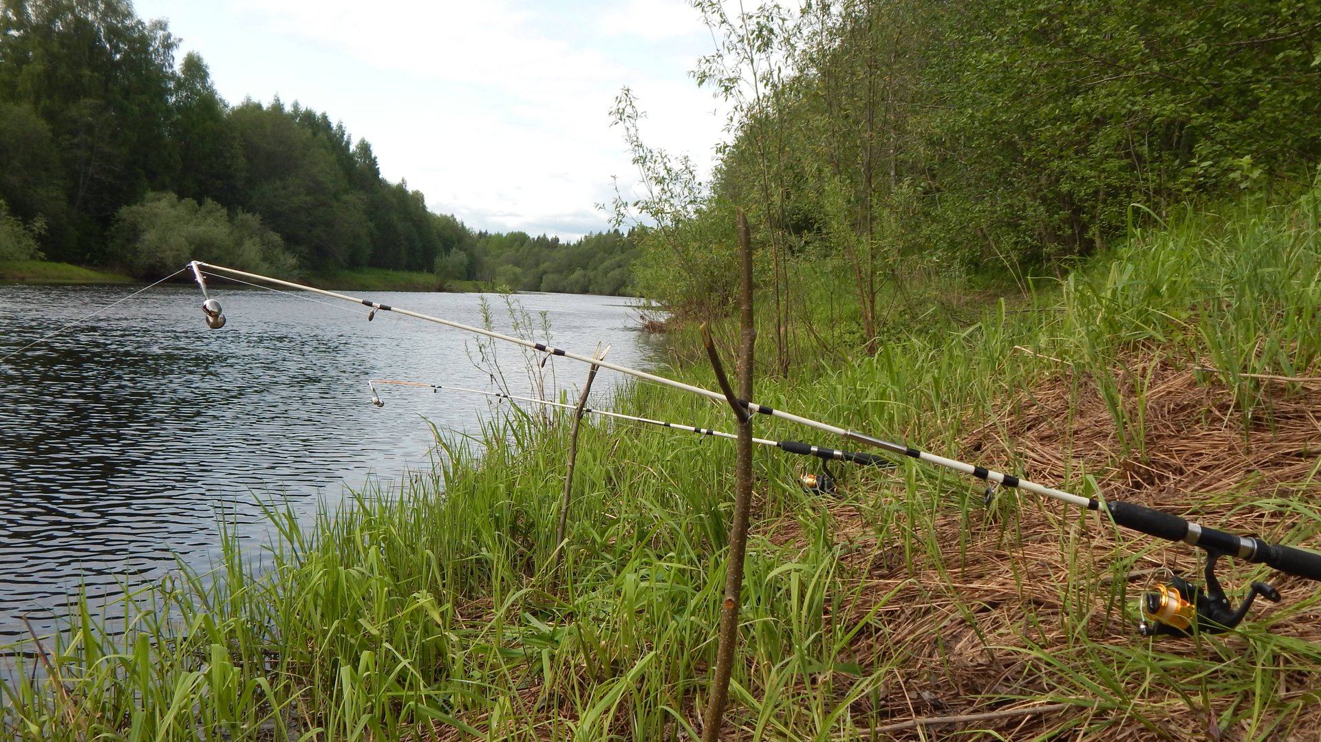Рыбалка донка с кормушкой