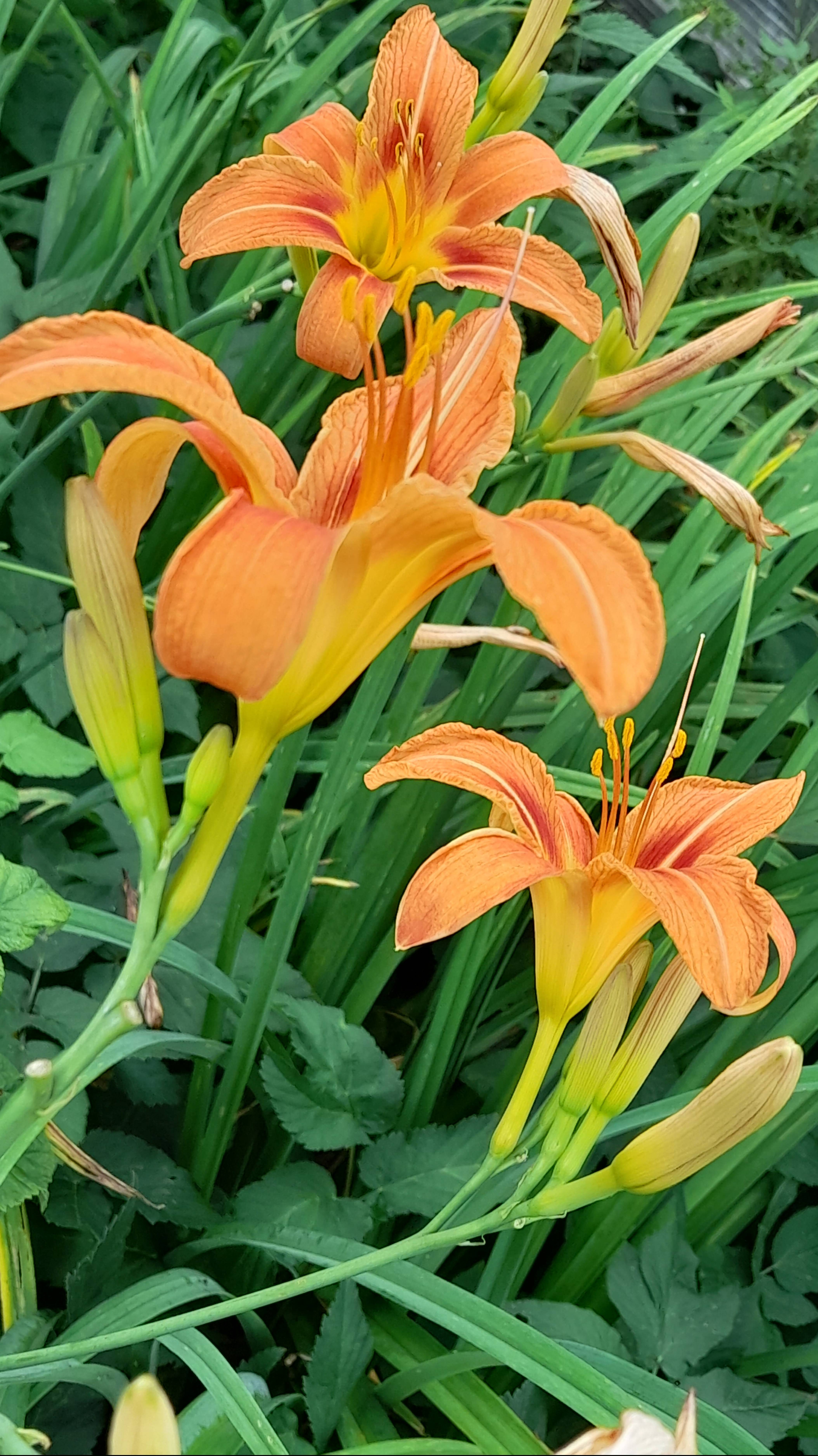 Уроки позитива. Околонаучные советы. Шутим, дурачимся в пути