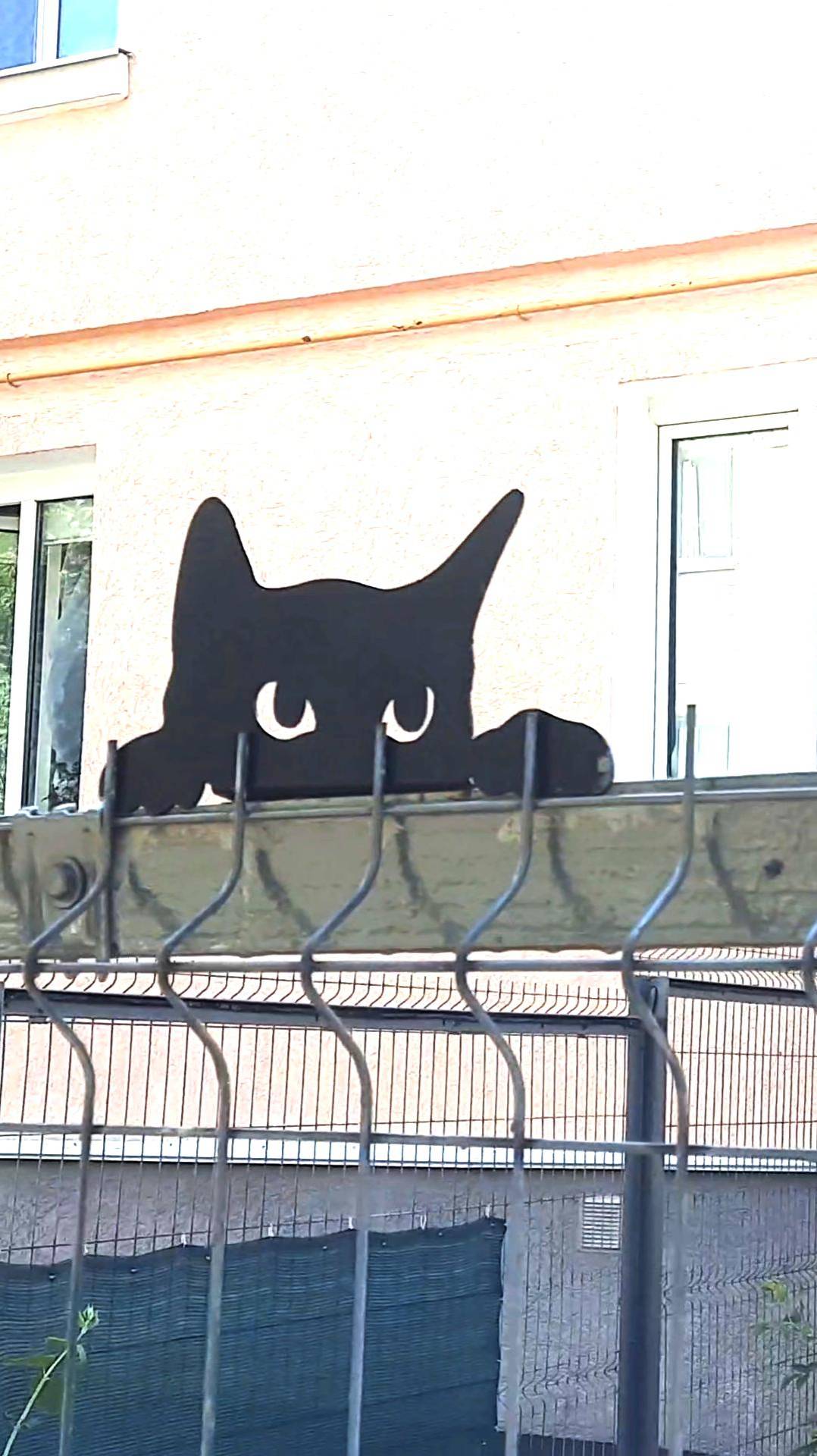 Кошачья морда