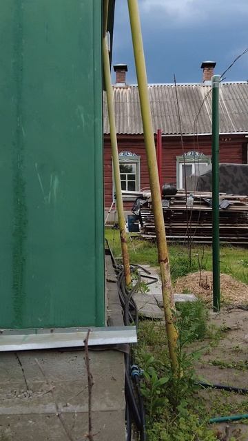 Весёлые железные столбики под виноград на фоне высадки перцев!