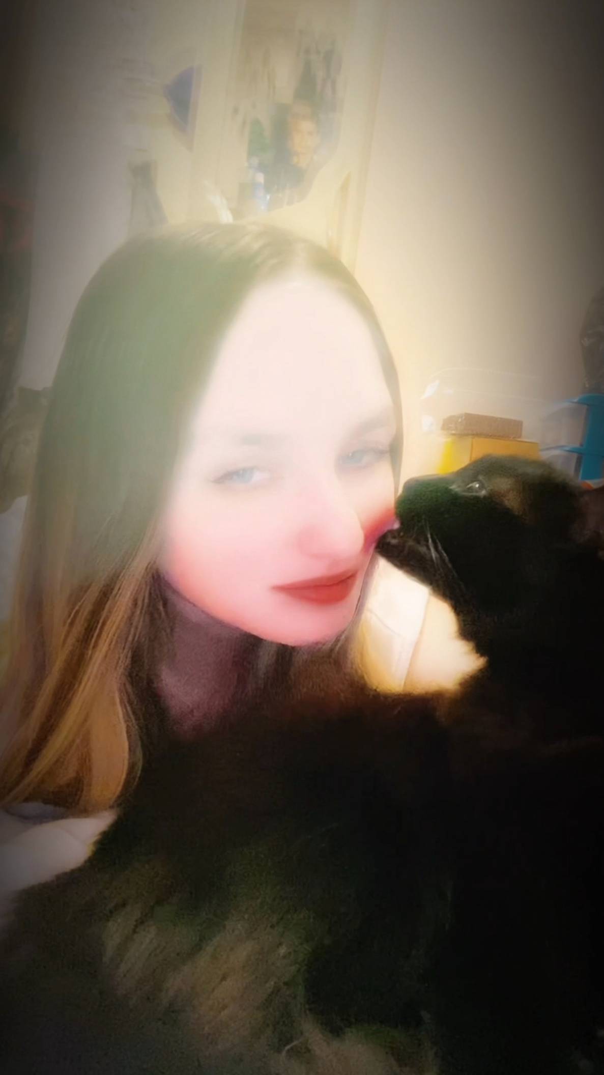 My love 🐈❤️  #tiktok #likee #clip #edit #cats #animals #питомцы #кошки #животные