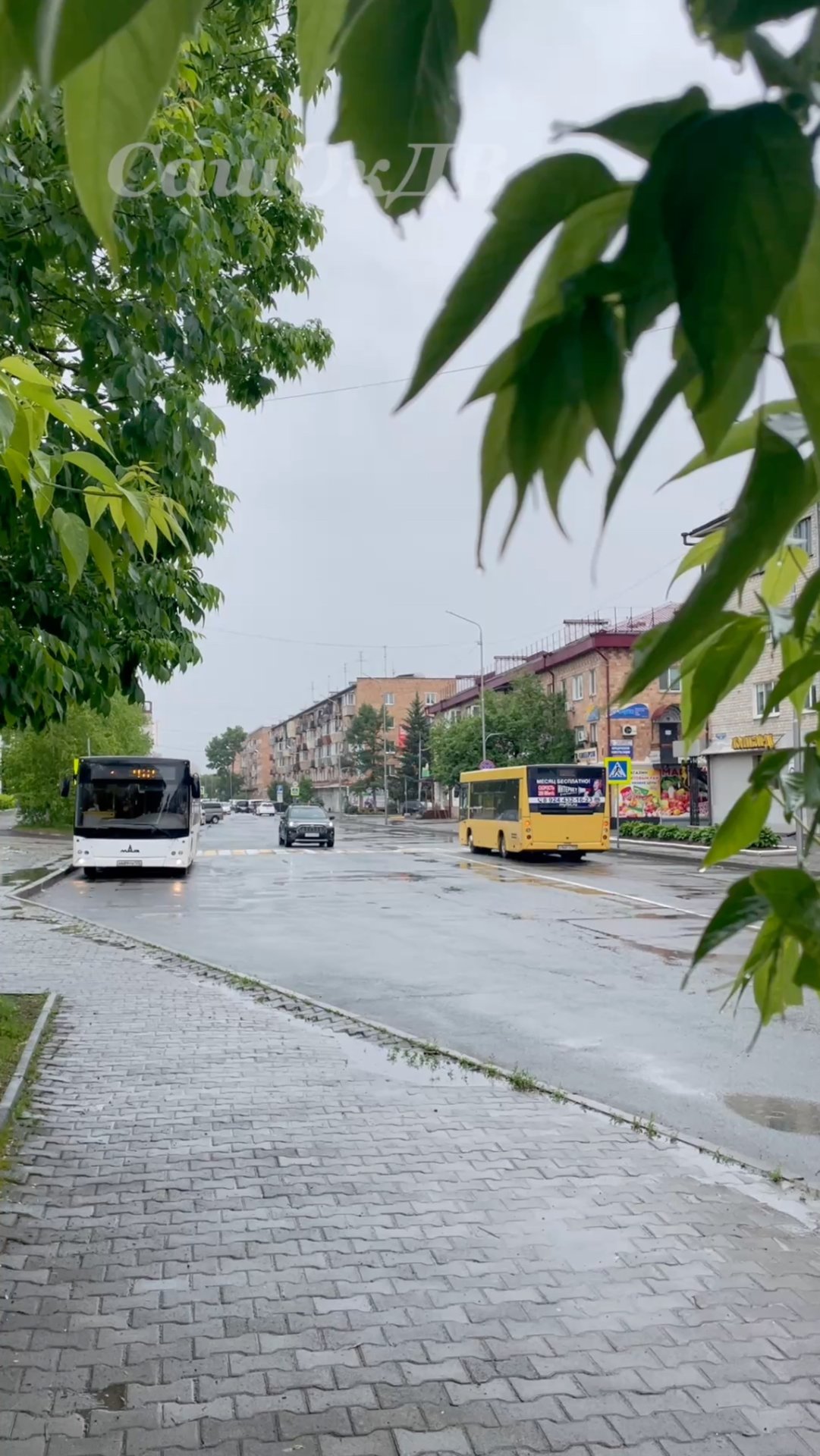 Спасск-Дальний, дождь.