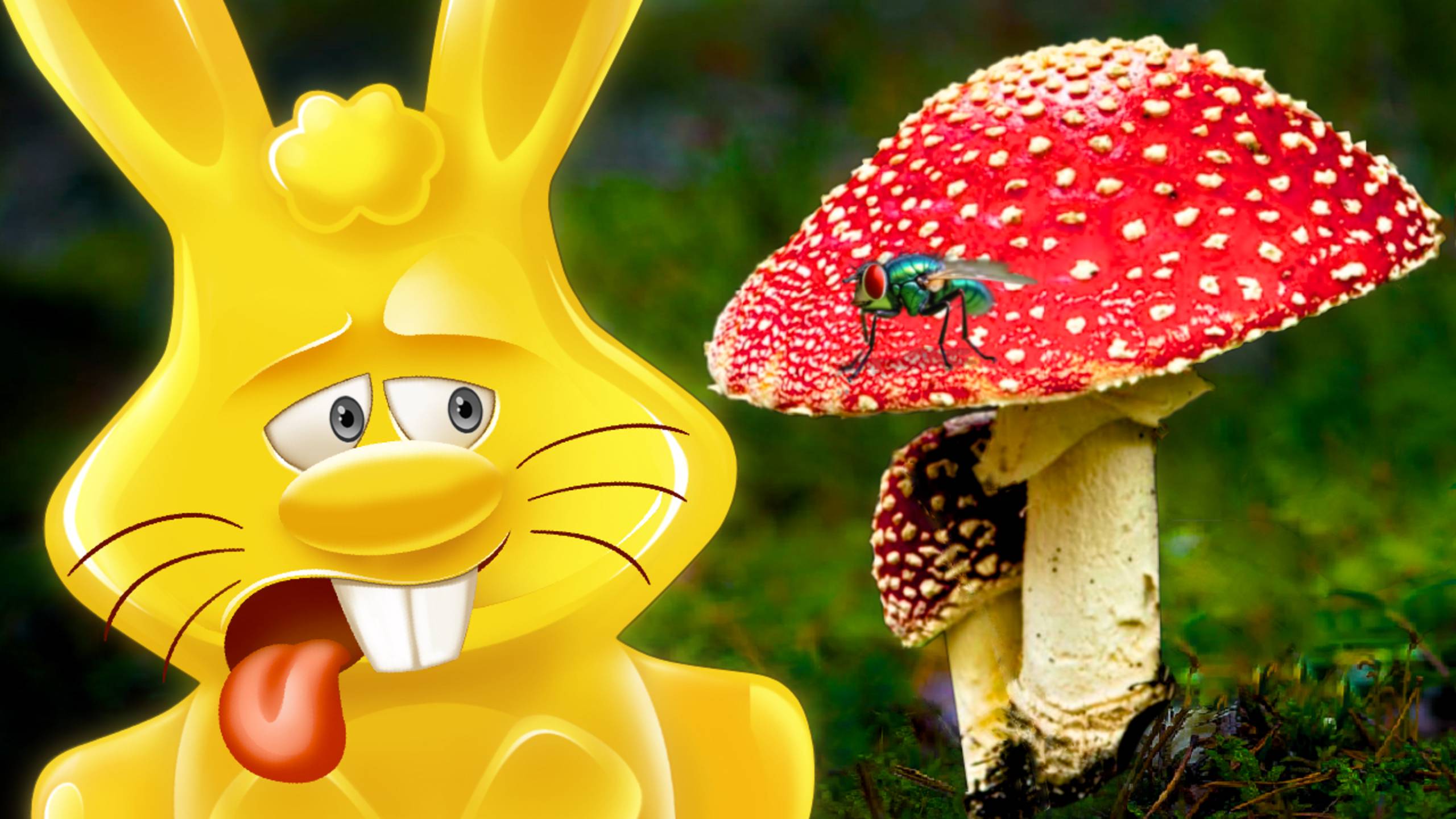 ЖЕЛЕЙНЫЙ ЗАЯЦ ХАРИТОН И ГРИБЫ