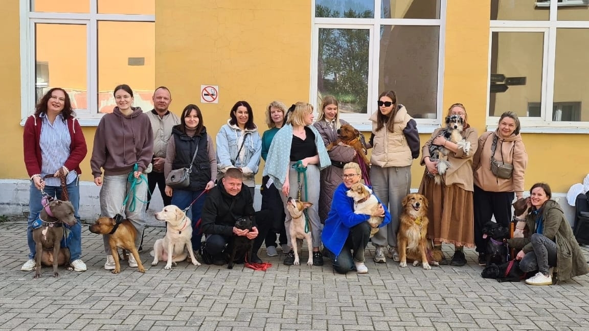 Благотворительная акция дети и четвероногие друзья!