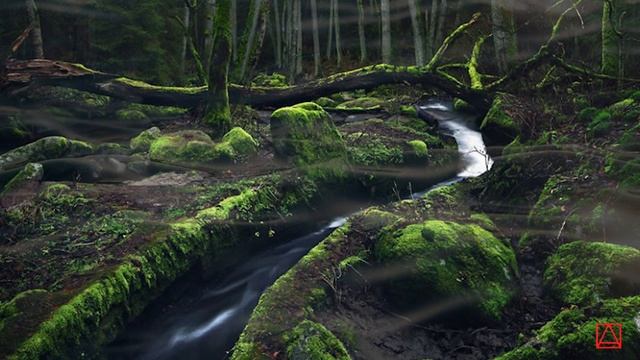 Прп. Нил Синайский ПРЕБЫВАЮЩИЕ НА БЕЗМОЛВИИ В ПУСТЫНЯХ ч9