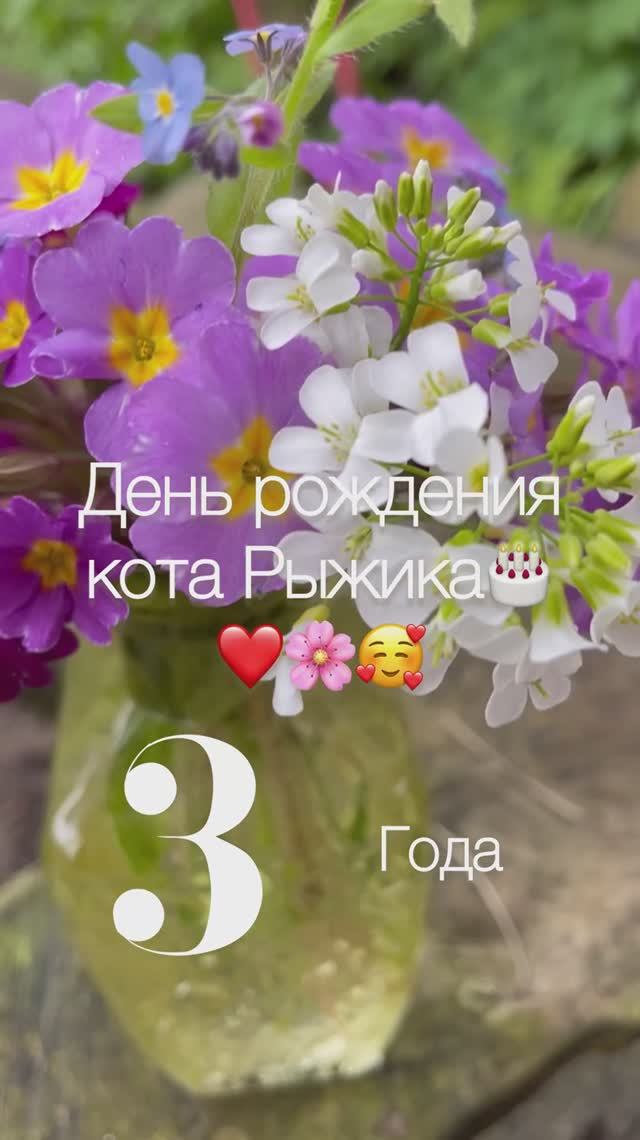 С днем рождения, Рыжик!