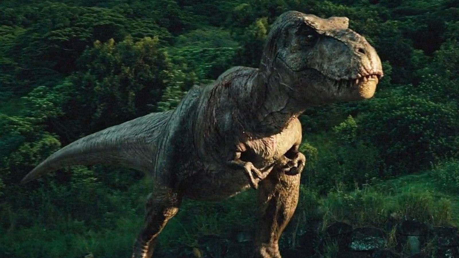 Клип 1. Первое видео.