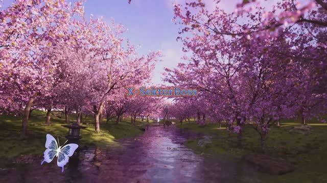 X-SektorBoss 197 - только спокойствие