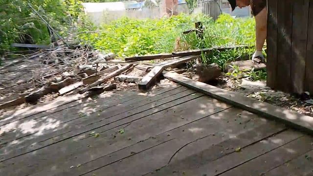 Дача . День первый.