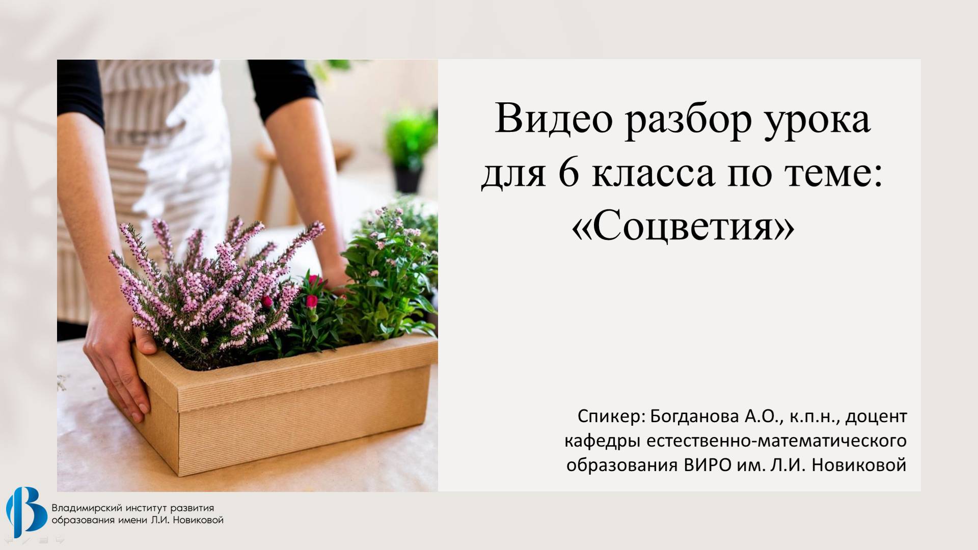 19. Соцветия