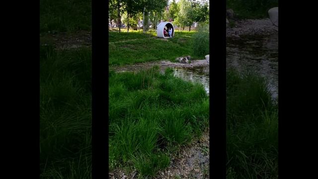 Прогулка по Кирову