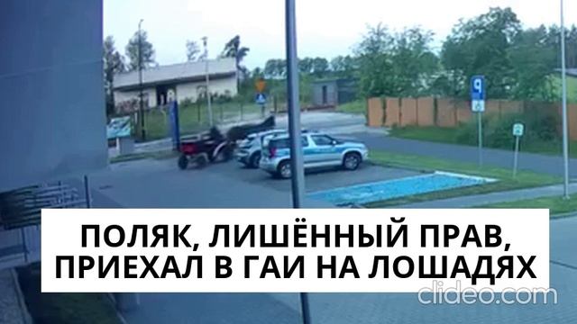 Вирусное видео: Пьяный в ГАИ на лошадях.