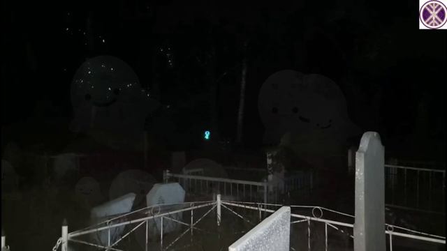 Момент Истины к ЗАДАНИЮ 7. ТАЙНЫ НЕКРОПОЛЯ: Живое-Мёртвое