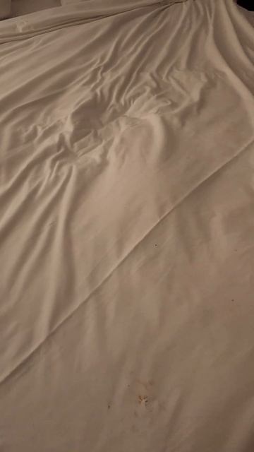 Нечто движется под простыней в гостинице Marriott
