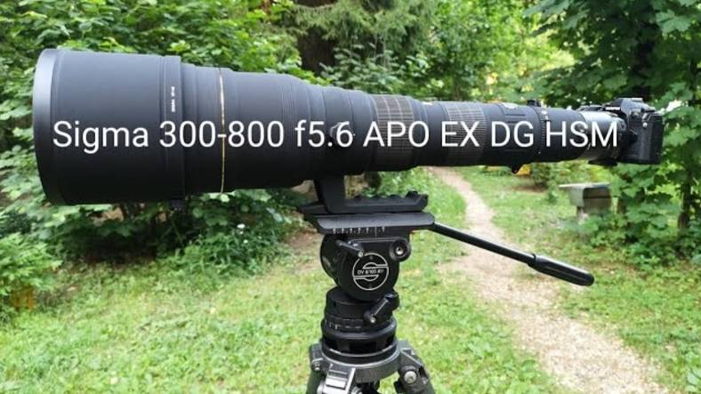 Sigma 300-800 f5.6 APO EX DG HSM+Panasonic Lumix GH6. А так же Sky Watcher MAC 180+Panasonic GH6.