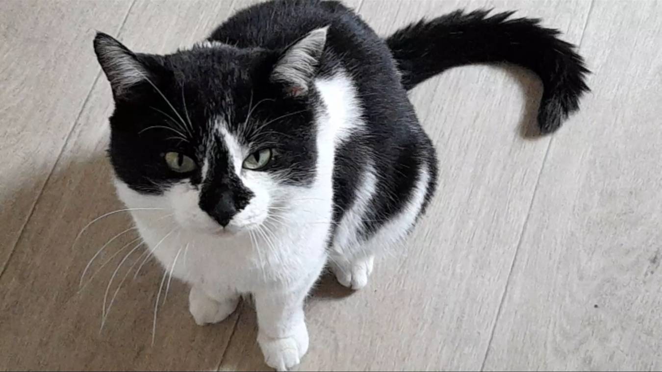 20250603_084957_001 Митя и рыба