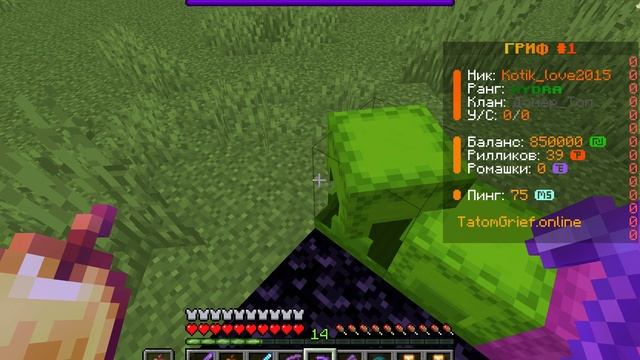 Я играю на лучшей копии сервера рилливорлда