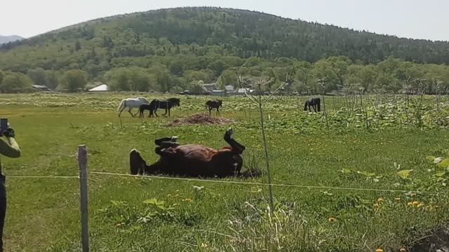 Красивая природа / отдых на озёрах / велопробег