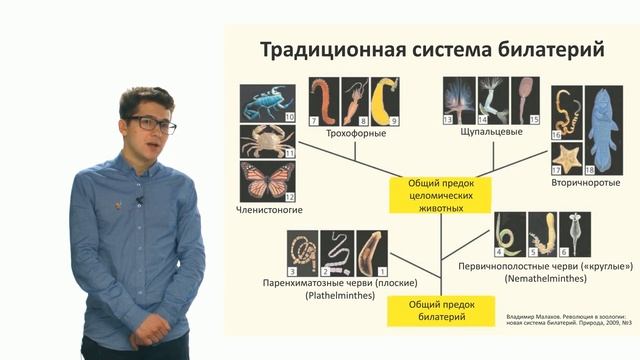 Зоология беспозвоночных