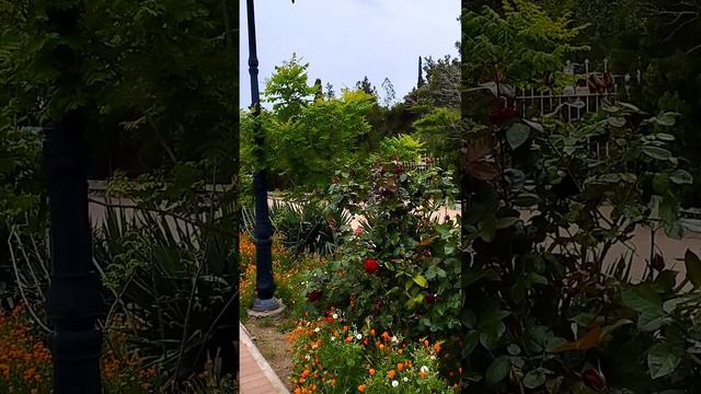 Обстановка на набережной Нового Света. Конец мая.