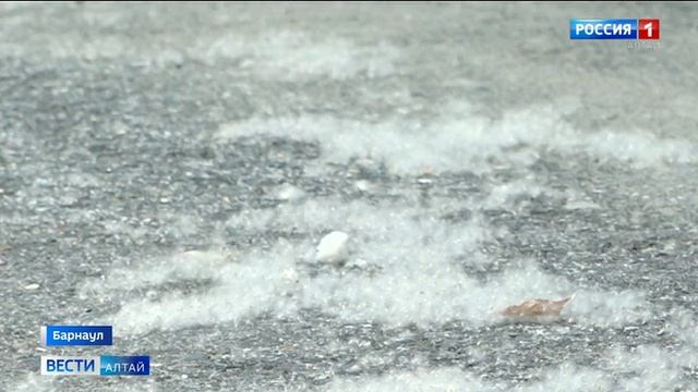 Вечерний выпуск новостей за 3 июня 2025 года