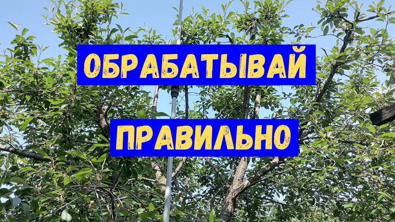 Зачем опрыскивать садовые растения