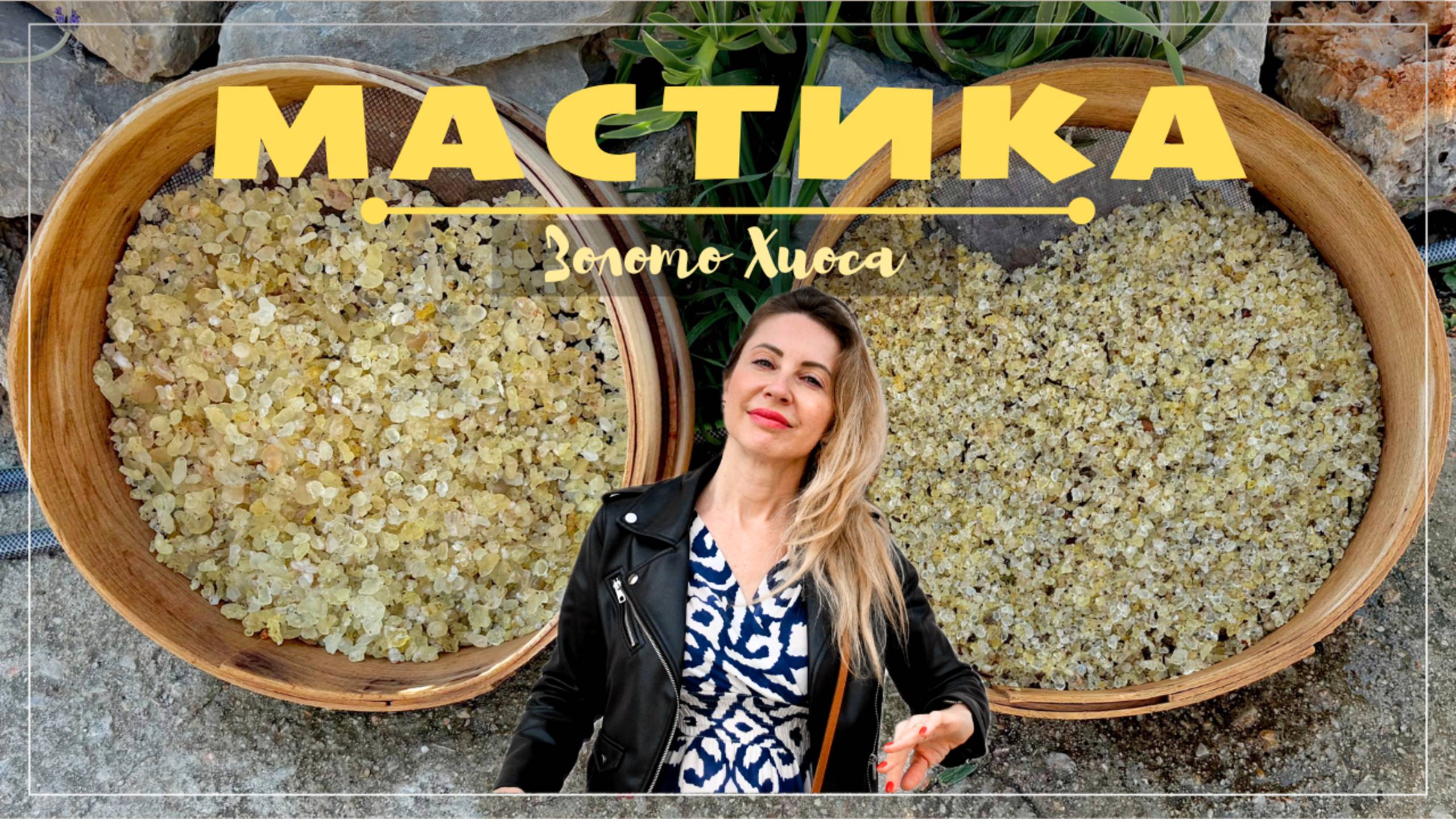 Мастика — золото Хиоса. Музей, сбор и дегустация