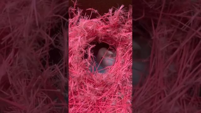 Приколы, которые взорвали Интернет_ Коты и Собаки в своём репертуаре _ Funniest