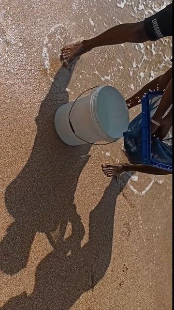 Поймали чудо рыбу. Как называется не знаю.