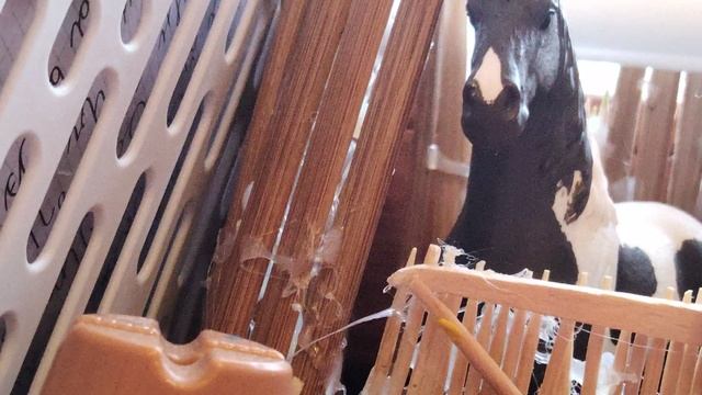 1часть сериала,, Секрет новенького '' 🐎🐎🧐