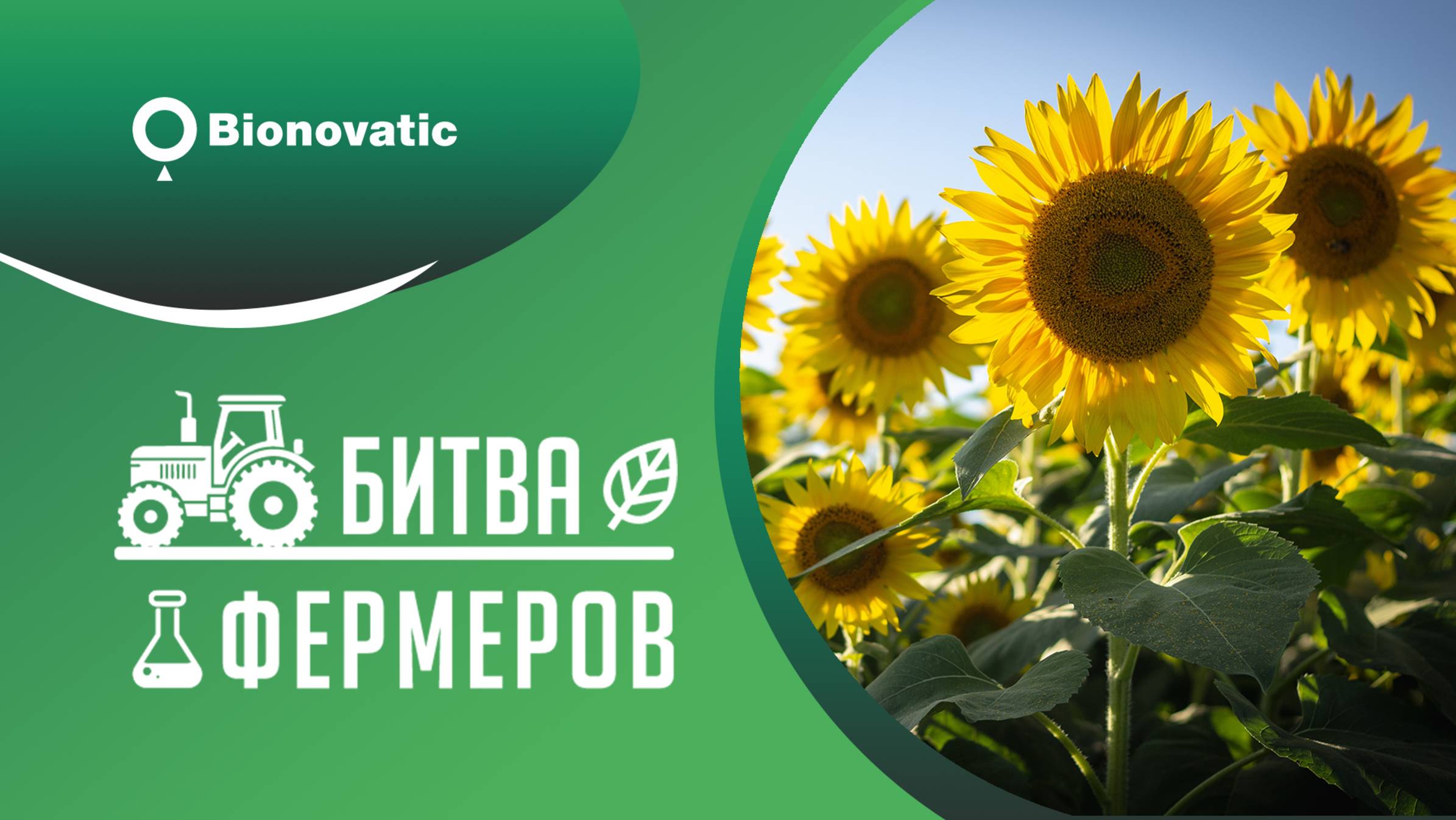 "Битва фермеров" за подсолнечник (промо)