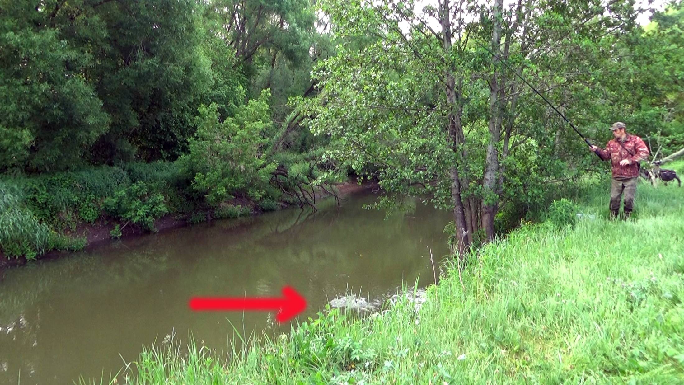 Рыбалка 2 июня на поплавок на малой реке на удочку в проводку, 13 серия. Отличная рыбалка