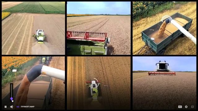 Российско-Афганский бизнес-форум (Минэкономразвития России) - Google Chrome 2025-05-16 10-27-50