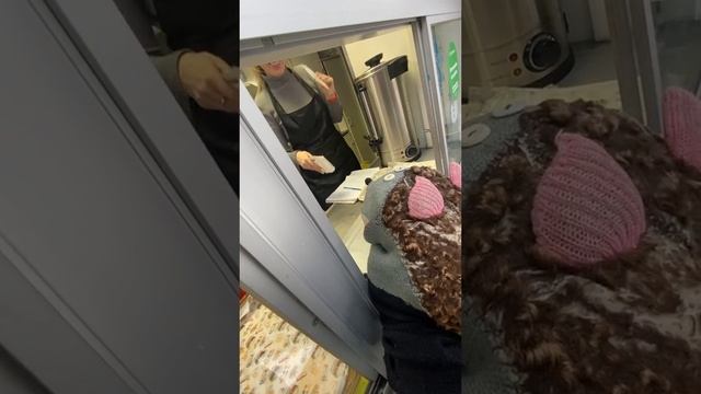 видео из тик тока 
блогер:@Ежик Саня