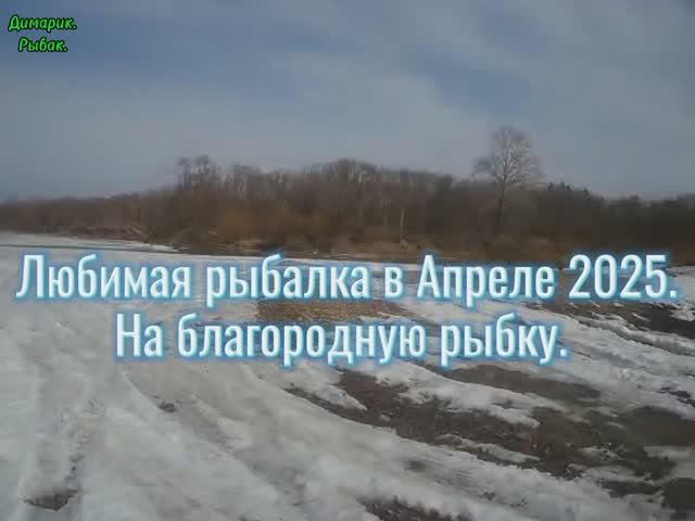 Весенняя рыбалка в Апреле 2025.
На благородную рыбку.